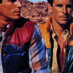 All Man: The International Male Story - Rotten Tomatoes