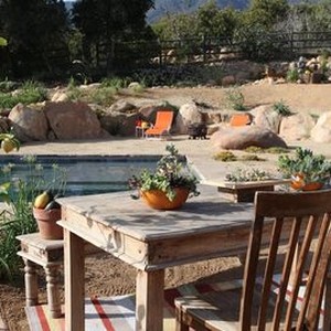 The Pool Master - Rotten Tomatoes