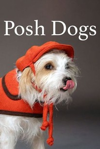 Posh Dogs | Rotten Tomatoes