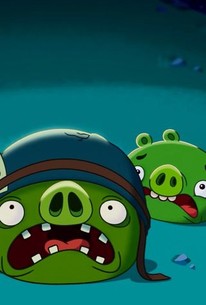 Angry Birds Toons: Season 1, Episode 29 - Rotten Tomatoes