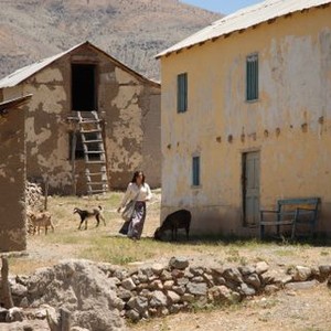 Violeta Went to Heaven - Rotten Tomatoes