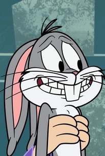 Wabbit: Season 2, Episode 31 - Rotten Tomatoes