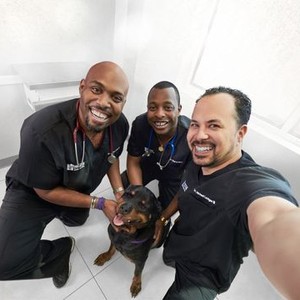 The Vet Life - Rotten Tomatoes