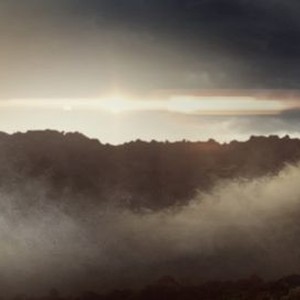 Bamazon - Rotten Tomatoes