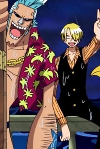One Piece: Season 8, Episode 30 | Rotten Tomatoes