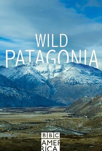 Wild Patagonia: Season 1 | Rotten Tomatoes