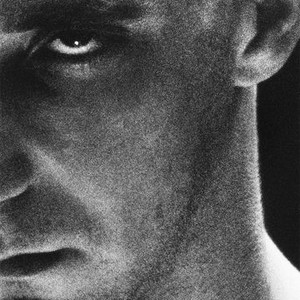 Pi - Rotten Tomatoes