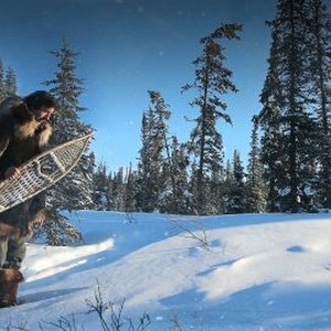 Life Below Zero - Rotten Tomatoes