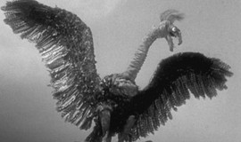 The Giant Claw - Trailers & Videos | Rotten Tomatoes