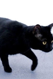 The Bionic Vet: Season 1, Episode 1 | Rotten Tomatoes