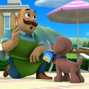 PAW Patrol: Season 4, Episode 17 - Rotten Tomatoes