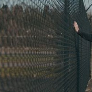 Flight / Risk - Rotten Tomatoes