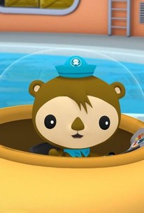 Octonauts: Season 1, Episode 14 | Rotten Tomatoes