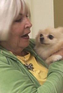 My Tiny Terror: Season 1, Episode 2 | Rotten Tomatoes