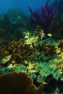 What Sam Sees: Season 1, Episode 8 | Rotten Tomatoes