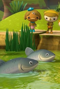 Octonauts: Above & Beyond: Season 2, Episode 21 | Rotten Tomatoes