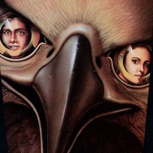 Beaks - Rotten Tomatoes