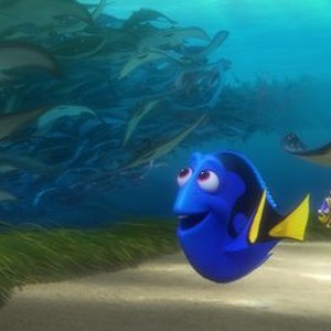 Finding Dory - Rotten Tomatoes