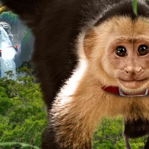 Amazonia - Rotten Tomatoes