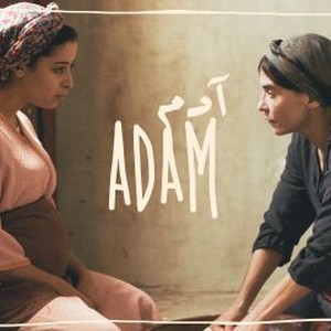 Adam - Rotten Tomatoes
