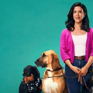 Strays - Rotten Tomatoes