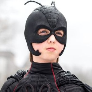 Antboy: Revenge of the Red Fury - Rotten Tomatoes