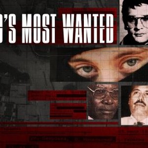 World's Most Wanted - Rotten Tomatoes