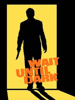 Wait Until Dark Poster Wait Until Dark (Maximum Security) Kindle