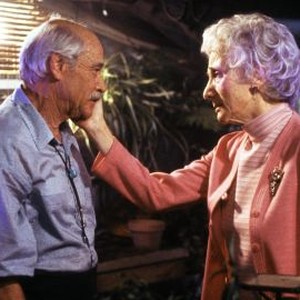 Dad - Rotten Tomatoes