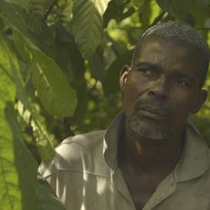 The Dark Side of Chocolate - Rotten Tomatoes