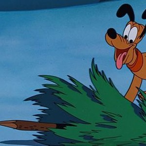 Pluto's Christmas Tree - Rotten Tomatoes