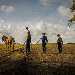 Mudbound - Rotten Tomatoes