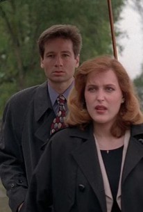 The X-Files: Season 2, Episode 10 | Rotten Tomatoes