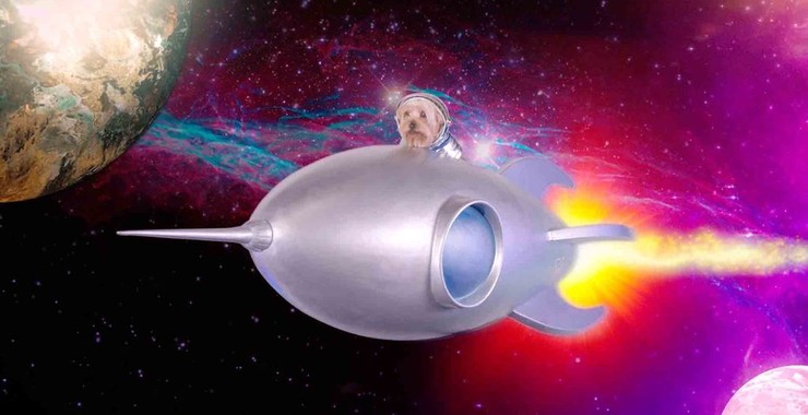 Pup Star: Better 2Gether - Rotten Tomatoes