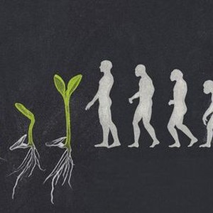 Food Evolution - Rotten Tomatoes