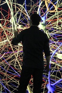 The Brain With David Eagleman: Season 1, Episode 6 | Rotten Tomatoes