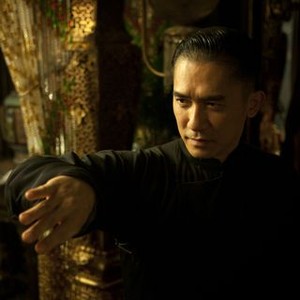 The Grandmaster - Rotten Tomatoes