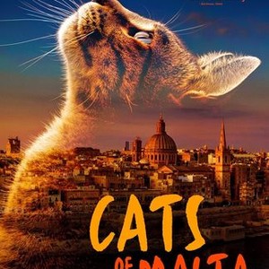 Cats of Malta - Rotten Tomatoes