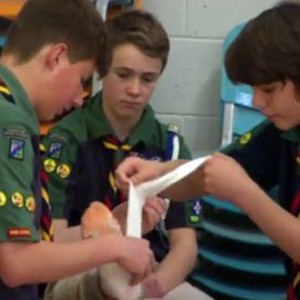 Totally Wild: Season 24, Episode 44 - Rotten Tomatoes