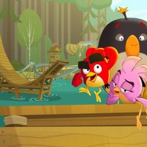 Angry Birds: Summer Madness - Rotten Tomatoes