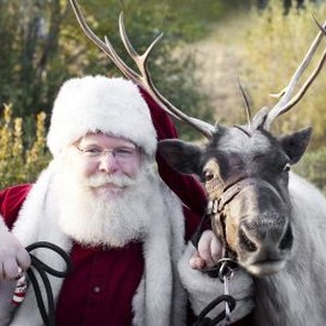 Becoming Santa - Rotten Tomatoes