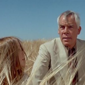 Prime Cut - Rotten Tomatoes