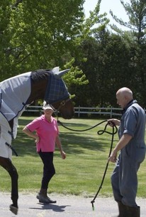 The Incredible Dr. Pol: Season 2, Episode 16 | Rotten Tomatoes