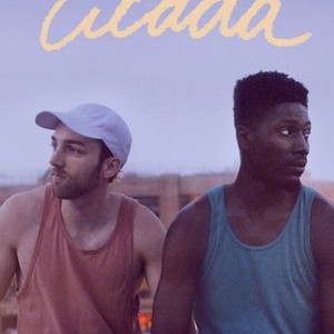 Cicada - Rotten Tomatoes