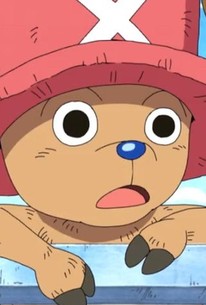 One Piece: Season 5, Episode 1 | Rotten Tomatoes