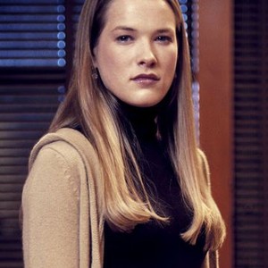 The Court - Rotten Tomatoes