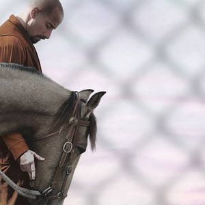 The Mustang - Rotten Tomatoes