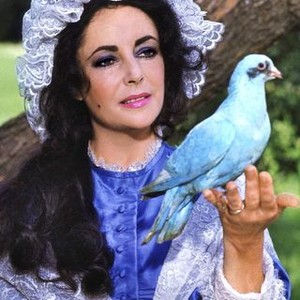 The Blue Bird - Rotten Tomatoes