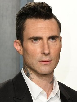 Adam Levine Pompadour La Voz