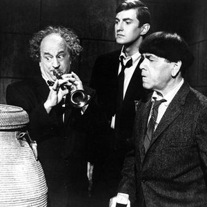 Jay Sheffield - Rotten Tomatoes